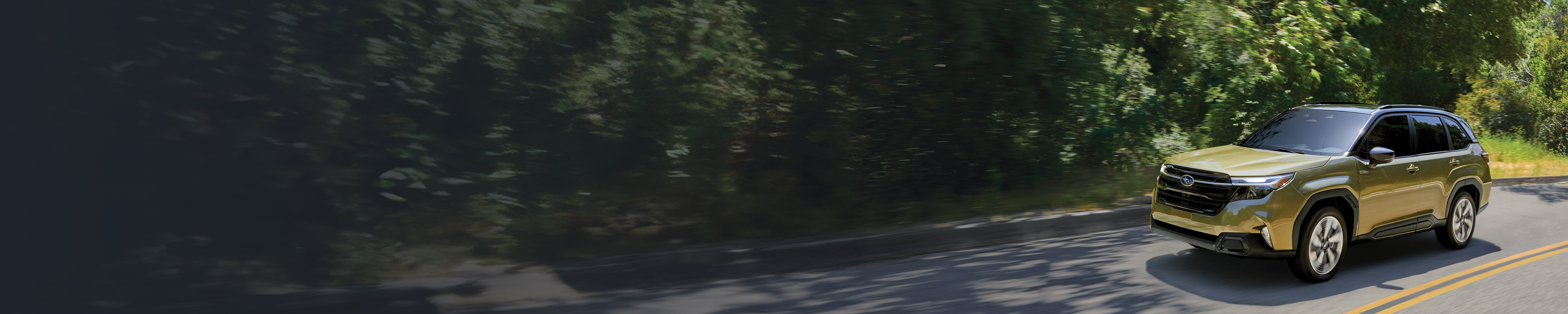 Austin Subaru | New and Used Vehicle Dealer in Austin, TX